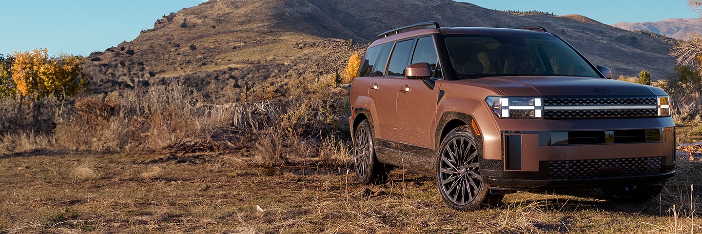 Ownership Details | Hyundai Canada Owners | Hyundai Canada