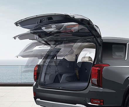 2021 PALISADE | A remarkable SUV that is perfect for family life ...