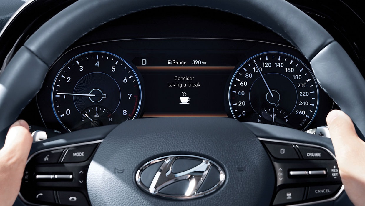 2021 PALISADE | A remarkable SUV that is perfect for family life ...